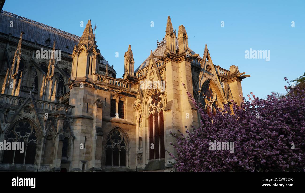 Catedral de notre dame de paris hi-res stock photography and images - Alamy Catedral de notre dame de paris hi-res stock photography and images - Alamy