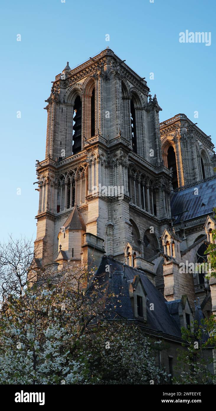 Catedral de notre dame de paris hi-res stock photography and images - Alamy Catedral de notre dame de paris hi-res stock photography and images - Alamy