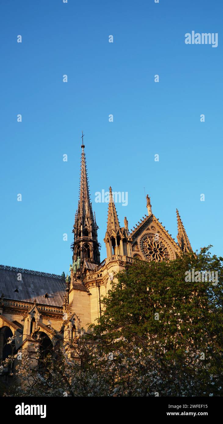 Catedral Notre-Dame de Paris in the spring Stock Photo - Alamy