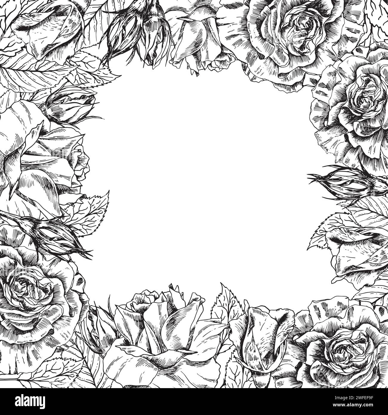 Roses flowers wreath. Vector border frame. . Hand drawn sketch artwork ...