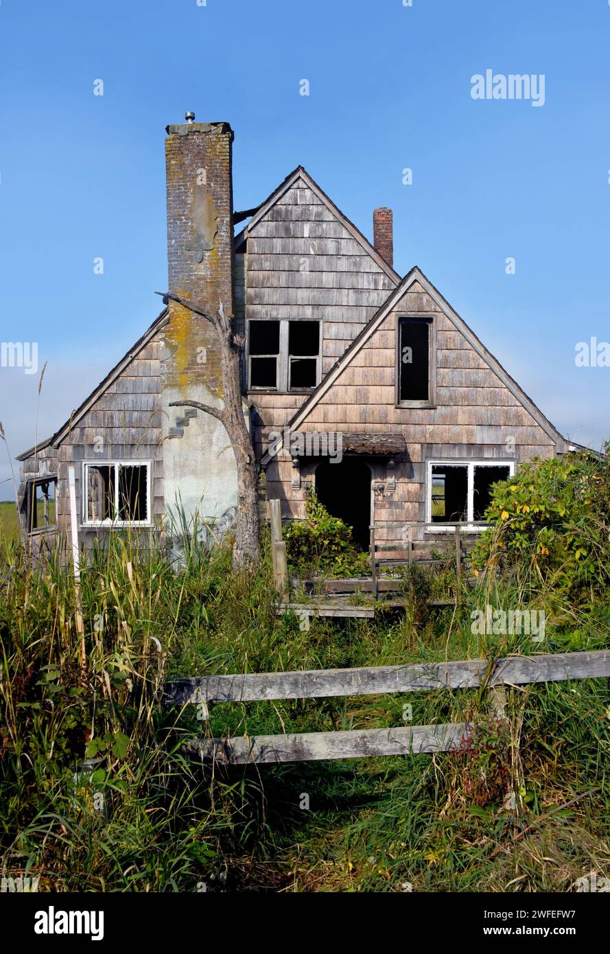 Wooden fence fronts an overgrown house on the Svensen Island in Oregon ...