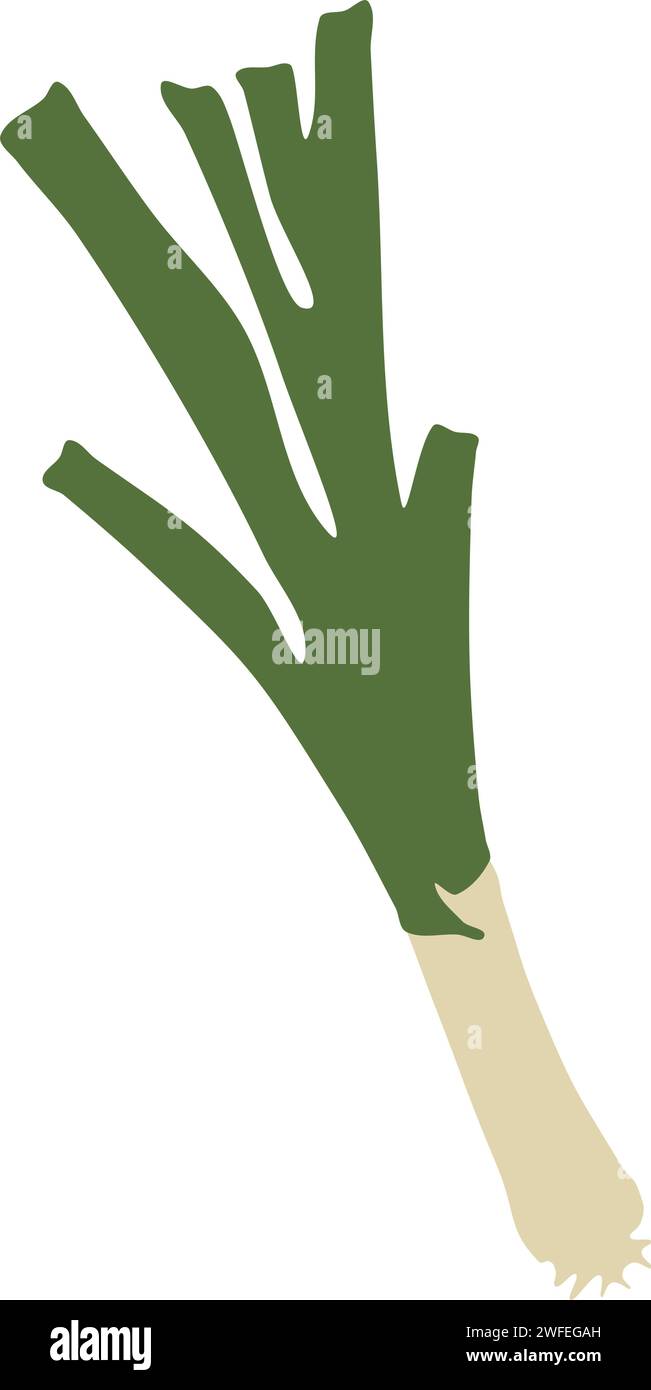 Leek Vector Illustration Stock Vector Image & Art - Alamy
