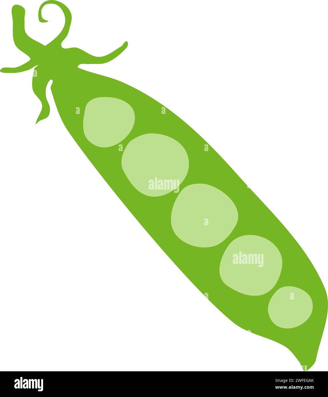 Pea Pod Vector Illustration Stock Vector Image & Art - Alamy