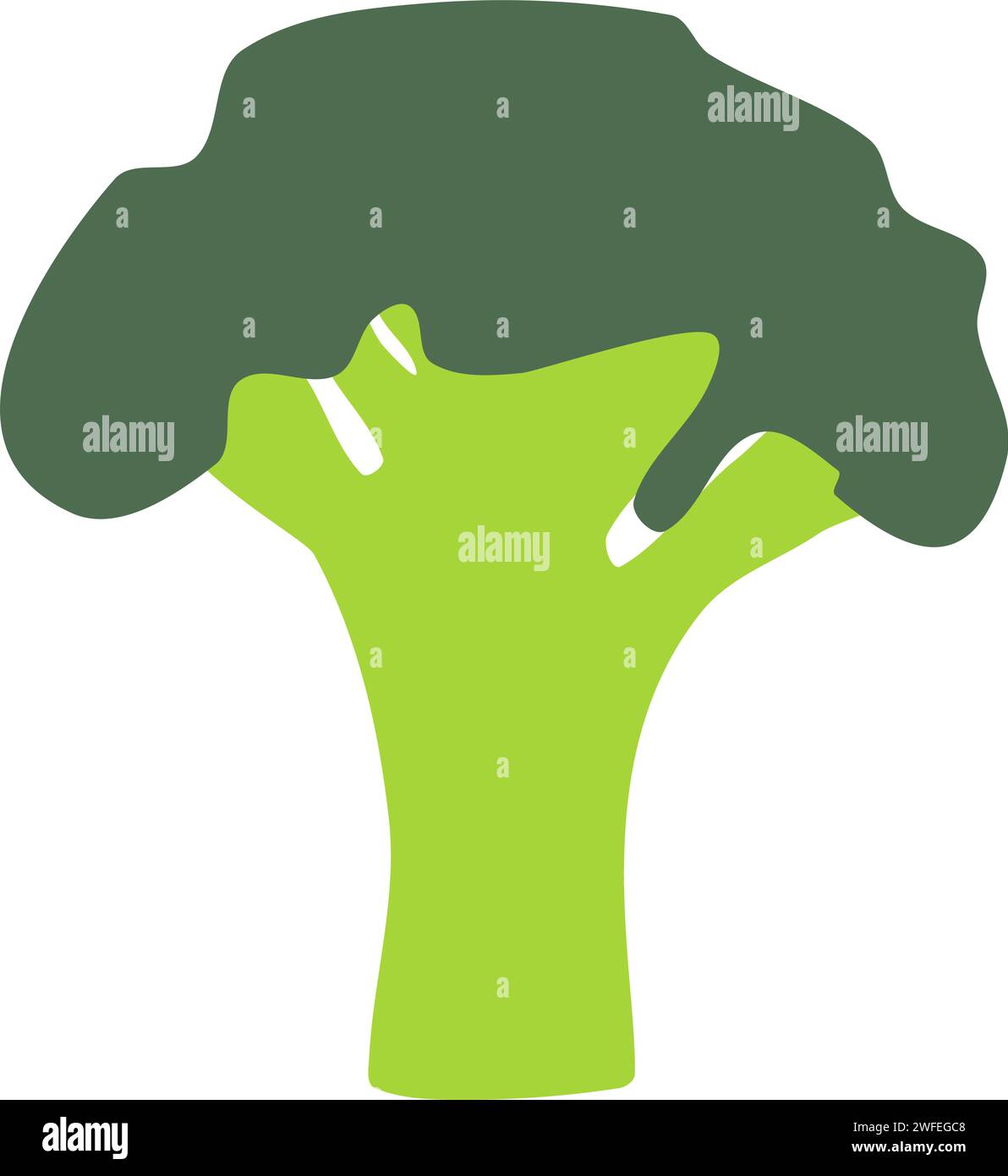 Broccoli Vector Illustration Stock Vector Image & Art - Alamy