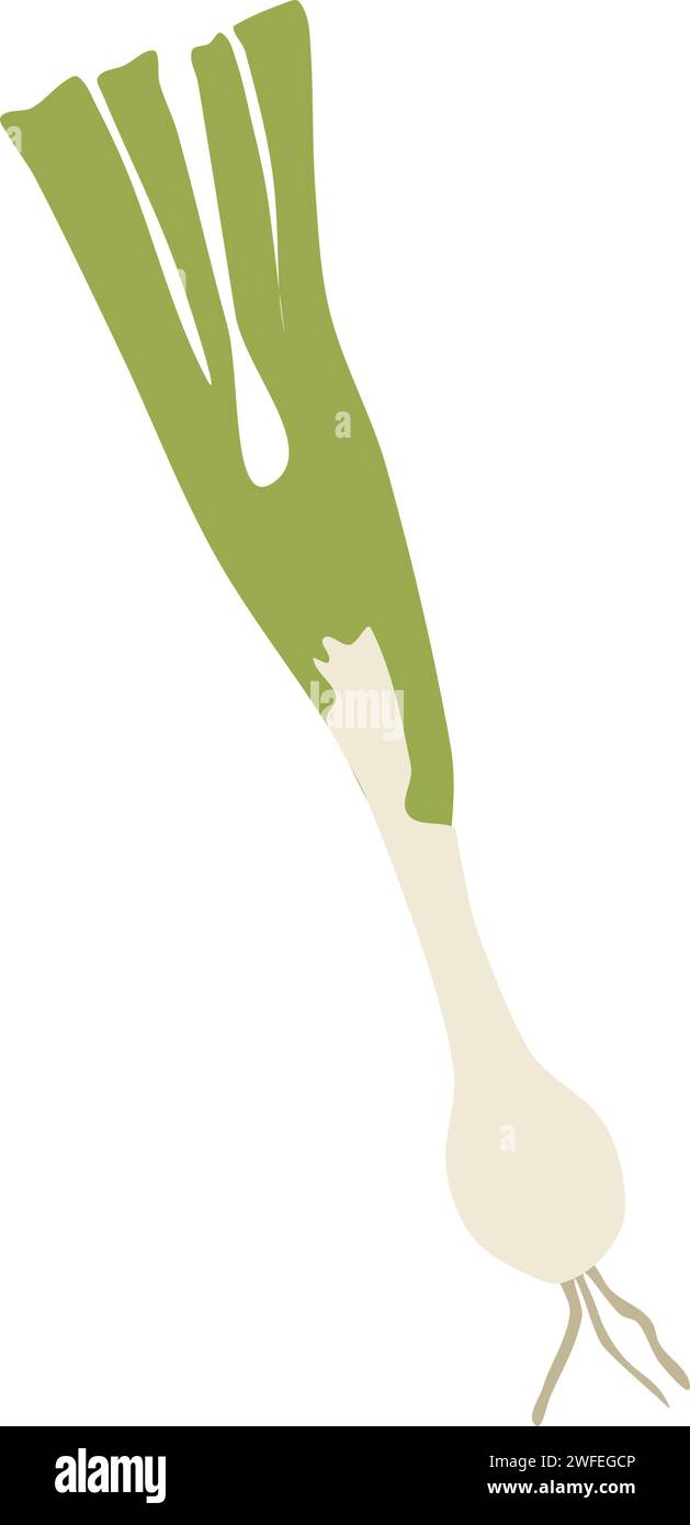 Spring onion chopped Stock Vector Images - Alamy