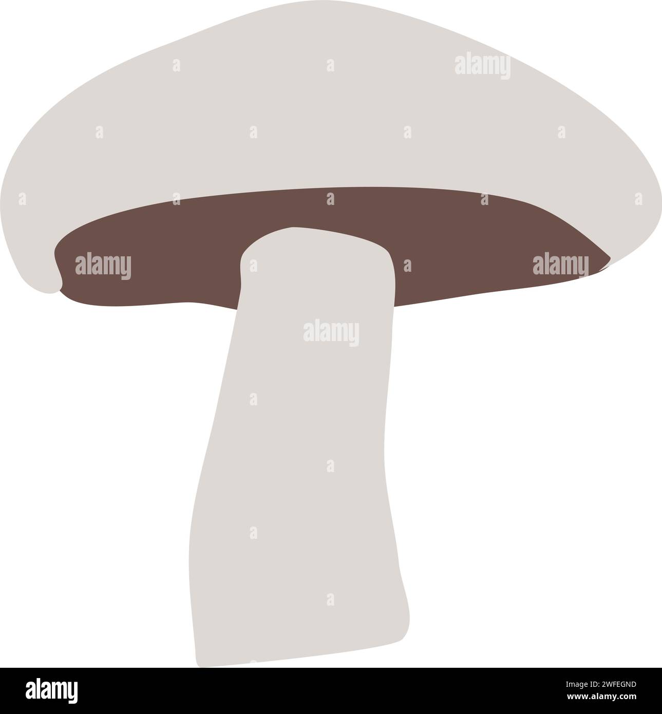Edible Mushroom Vector Illustration Stock Vector Image & Art - Alamy