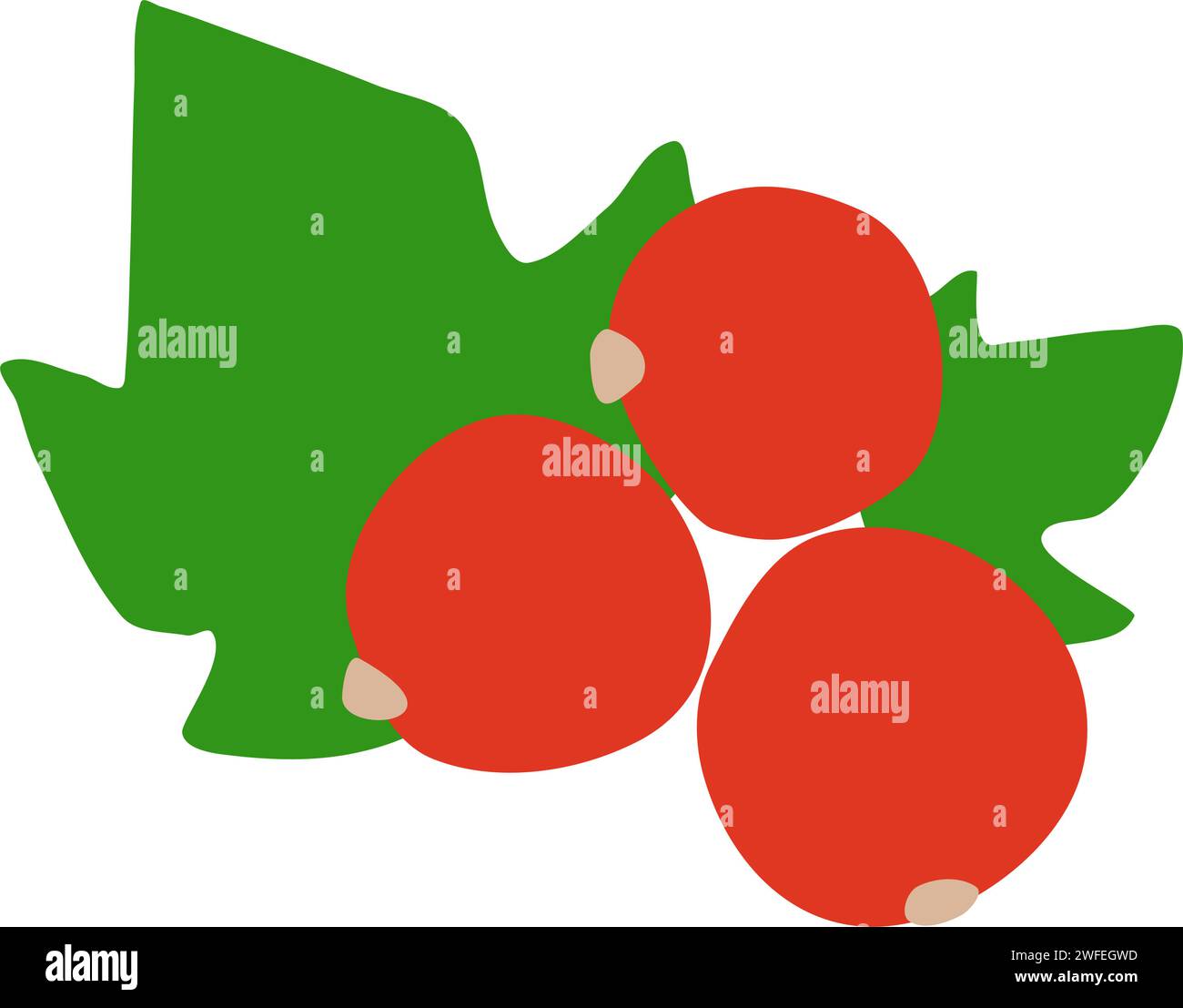 Redcurrant Vector Illustration Stock Vector Image And Art Alamy