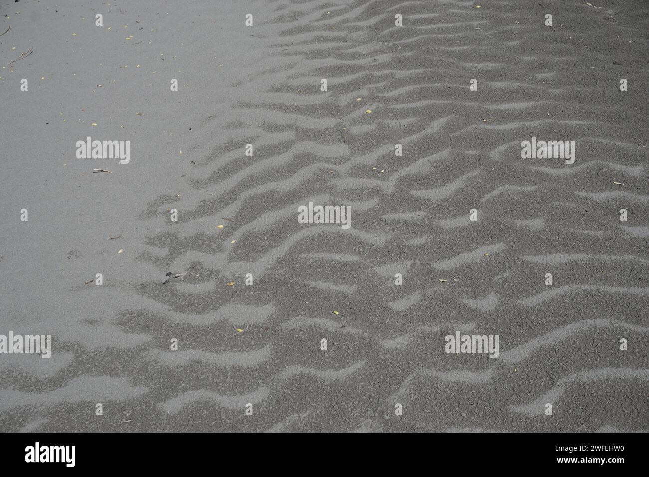 Wet sand texture in hi-res stock photography and images - Alamy