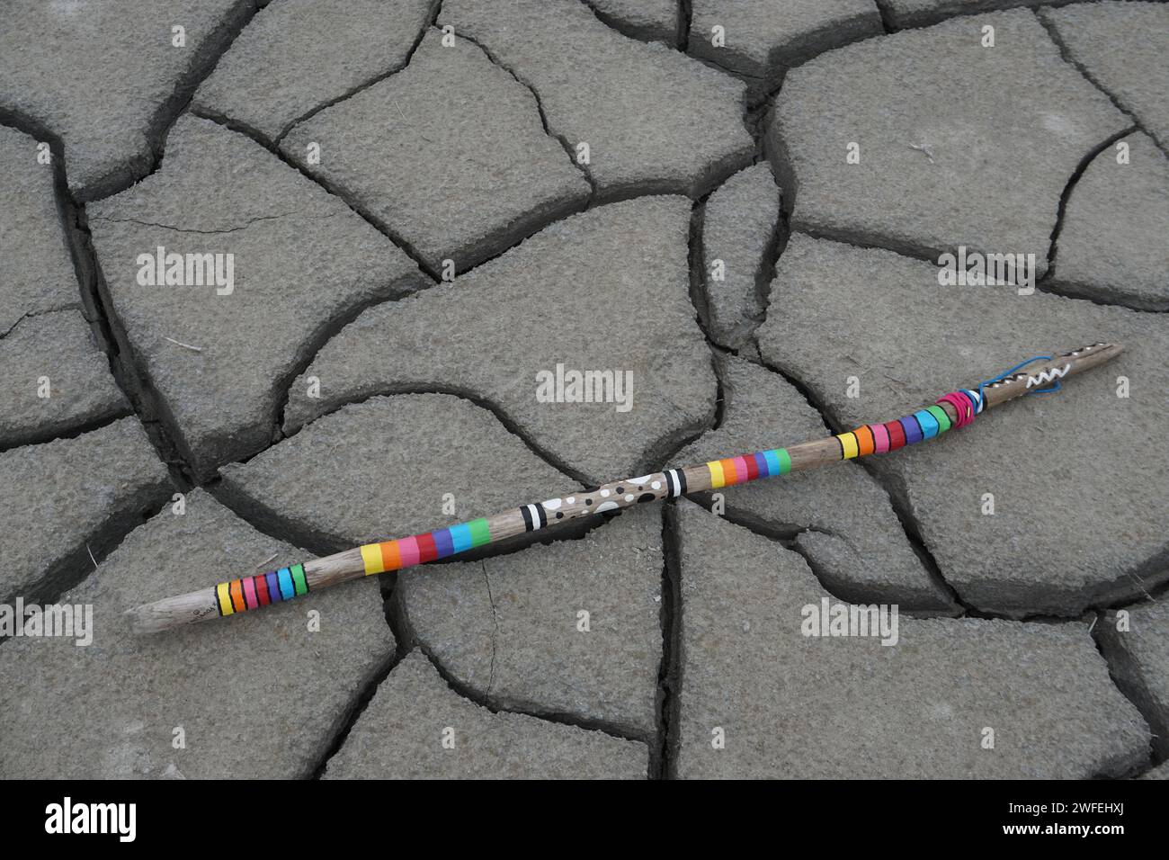 funky texture of dry earth with my colorful walking stick in serre ...