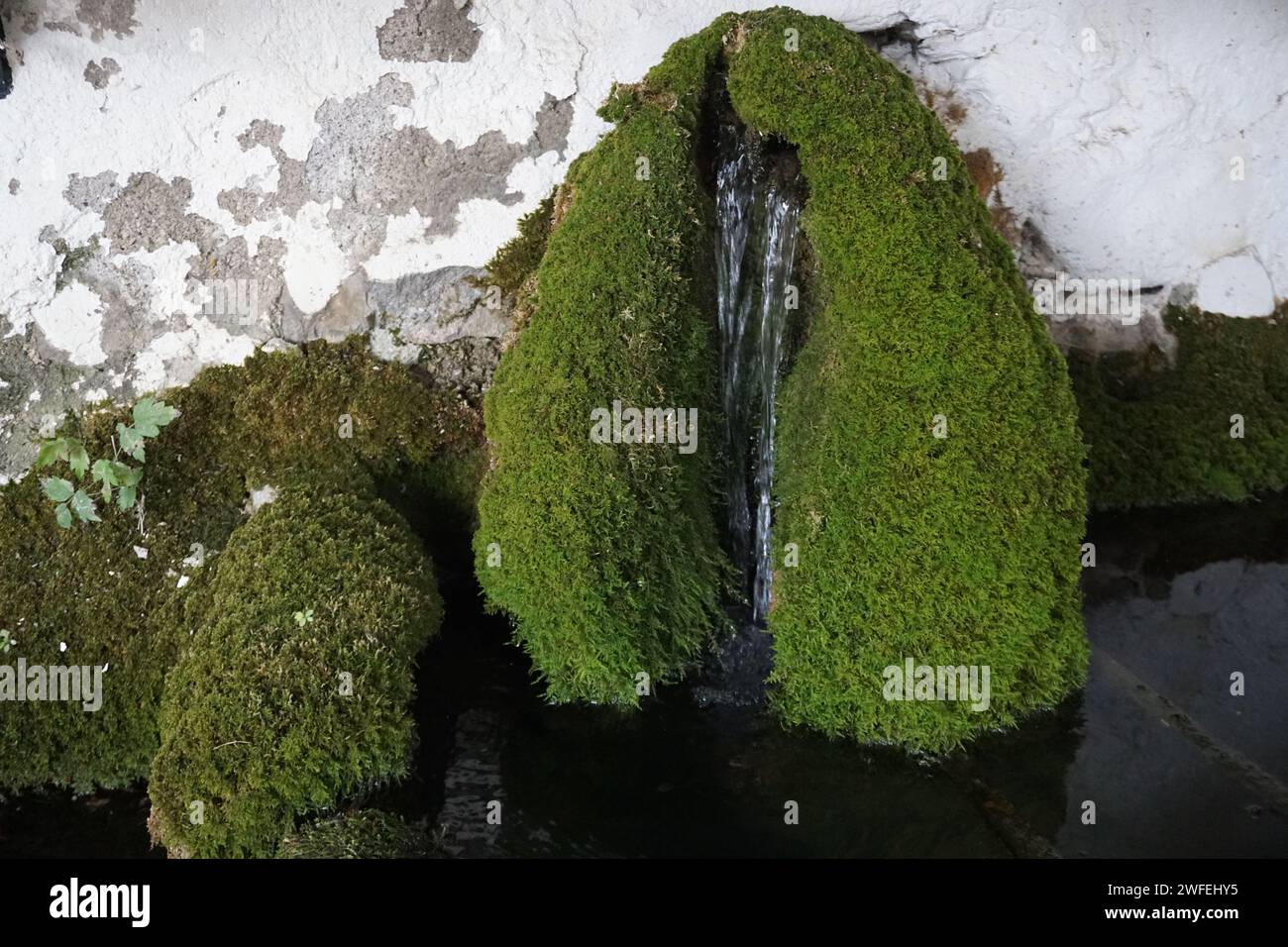 Fountain with moss hi-res stock photography and images - Alamy