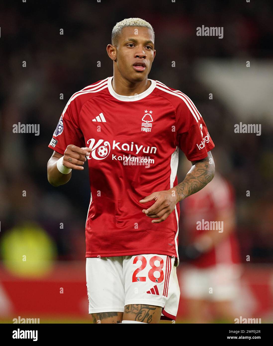 Nottingham Forest's Danilo during the Premier League match at the City ...