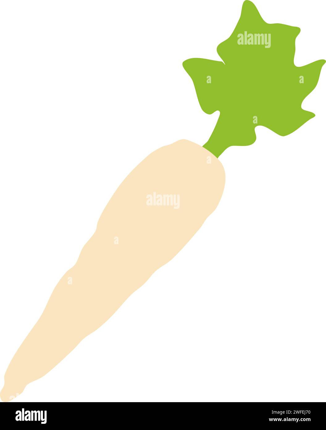 Parsnip plant Stock Vector Images - Alamy