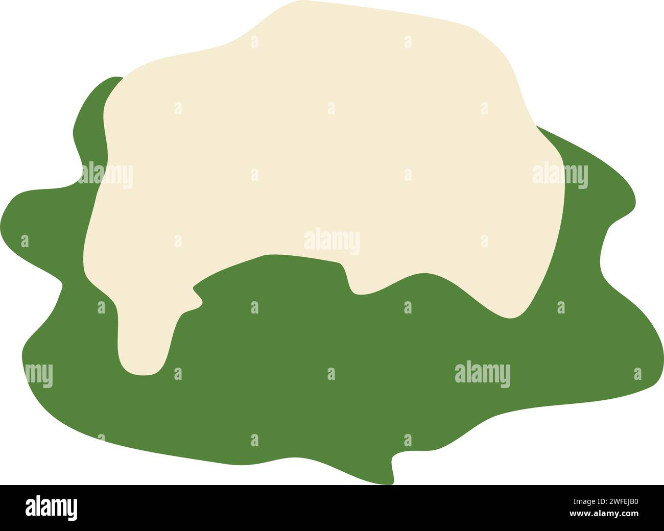 Cauliflower Vector Illustration Stock Vector Image & Art - Alamy