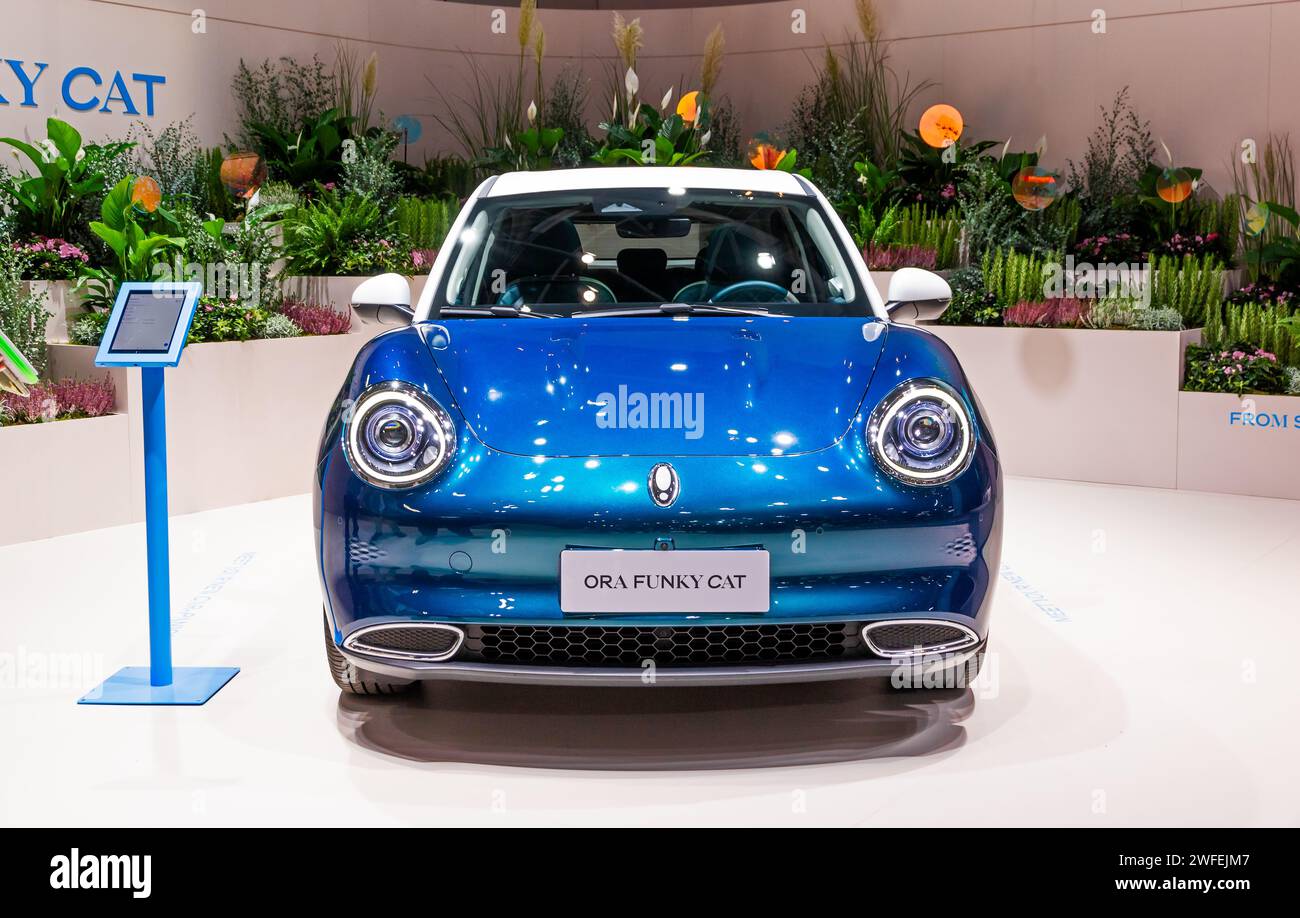 Ora funky cat hi-res stock photography and images - Alamy