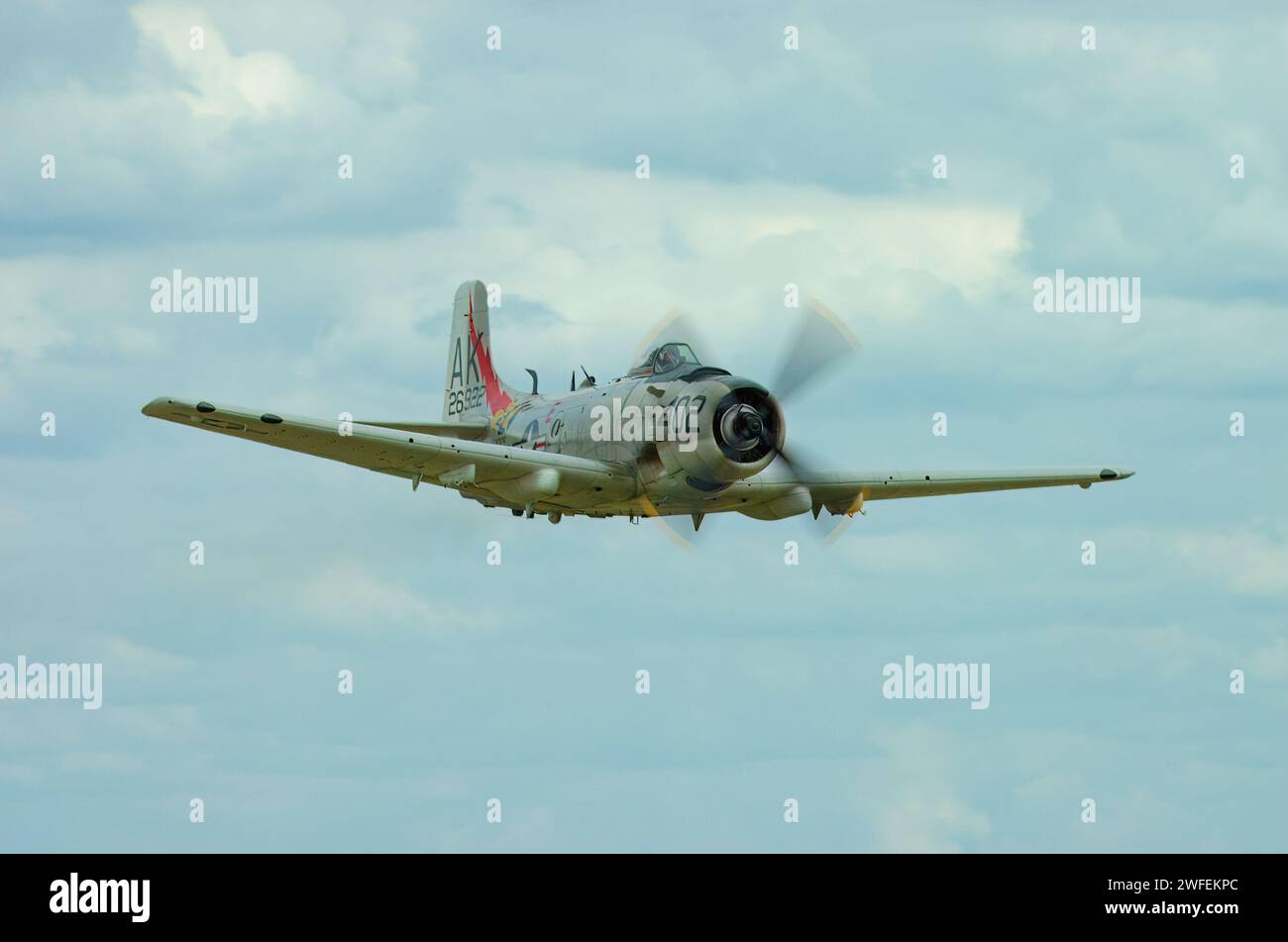 Douglas A1 Skyraider in flight Stock Photo - Alamy