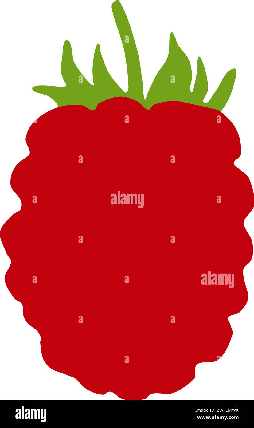Raspberry Vector Illustration Stock Vector Image & Art - Alamy