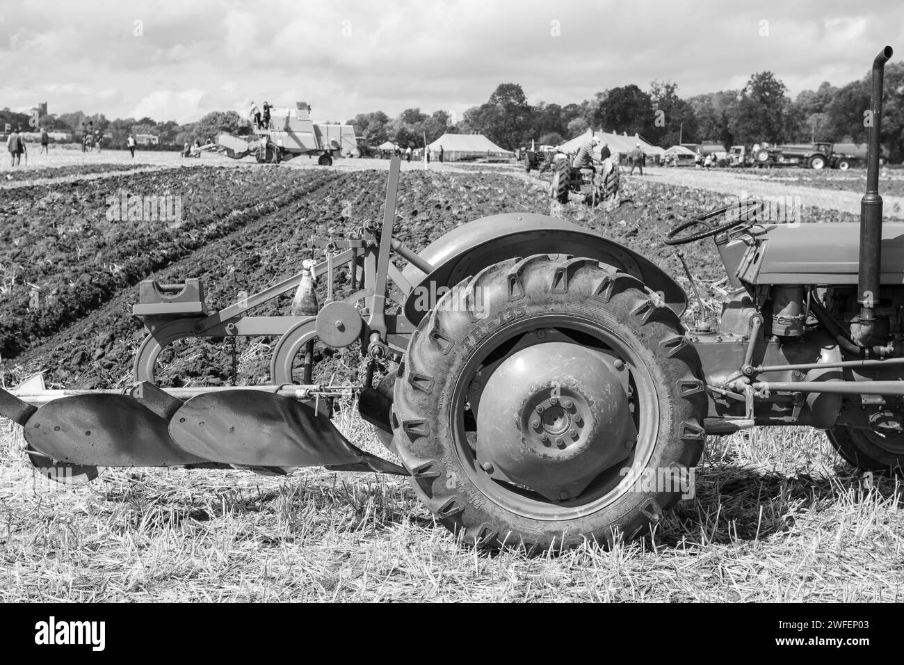Grey te20 ferguson tractor Black and White Stock Photos & Images - Alamy