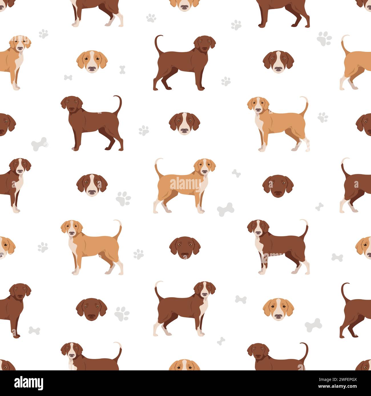 Posavac Hound seamless pattern. All coat colors set. All dog breeds ...