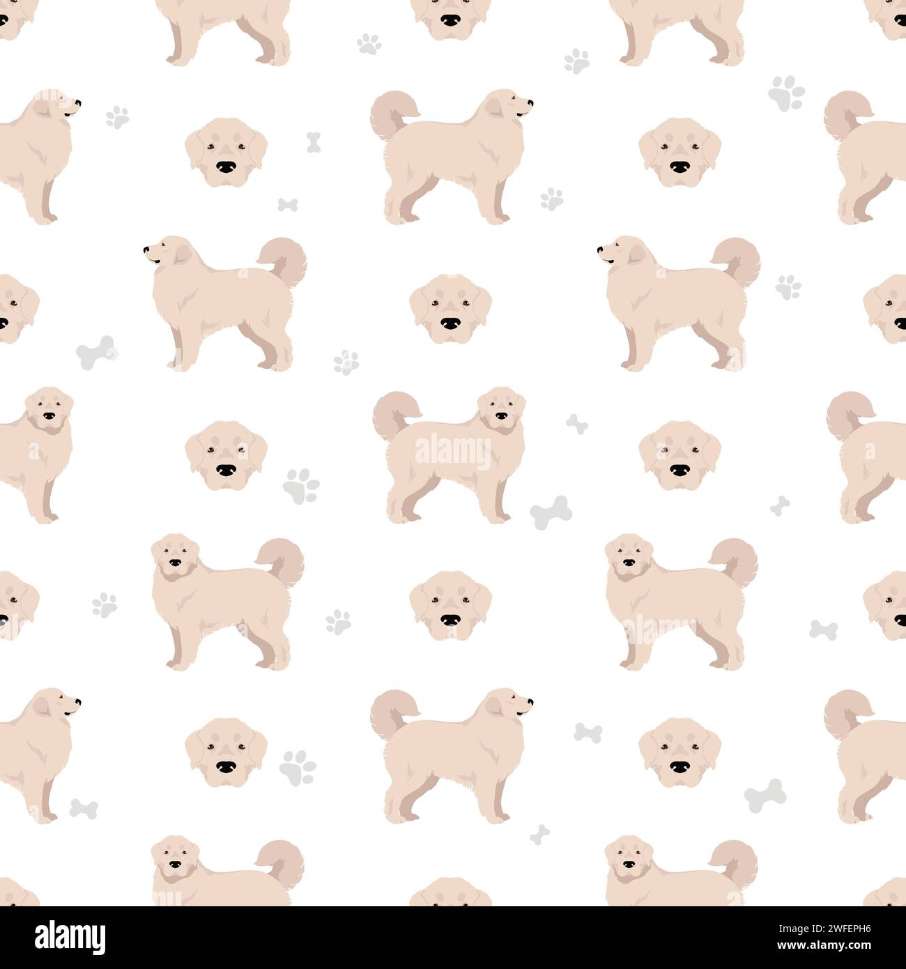 Polish Tatra Sheepdog seamless pattern. All coat colors set. Vector ...