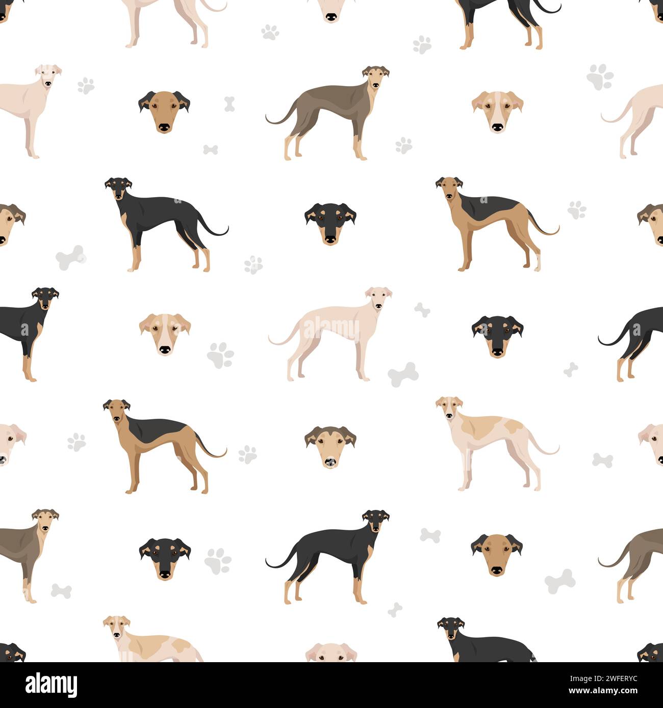 Polish Greyhound seamless pattern. All coat colors set. All dog breeds ...