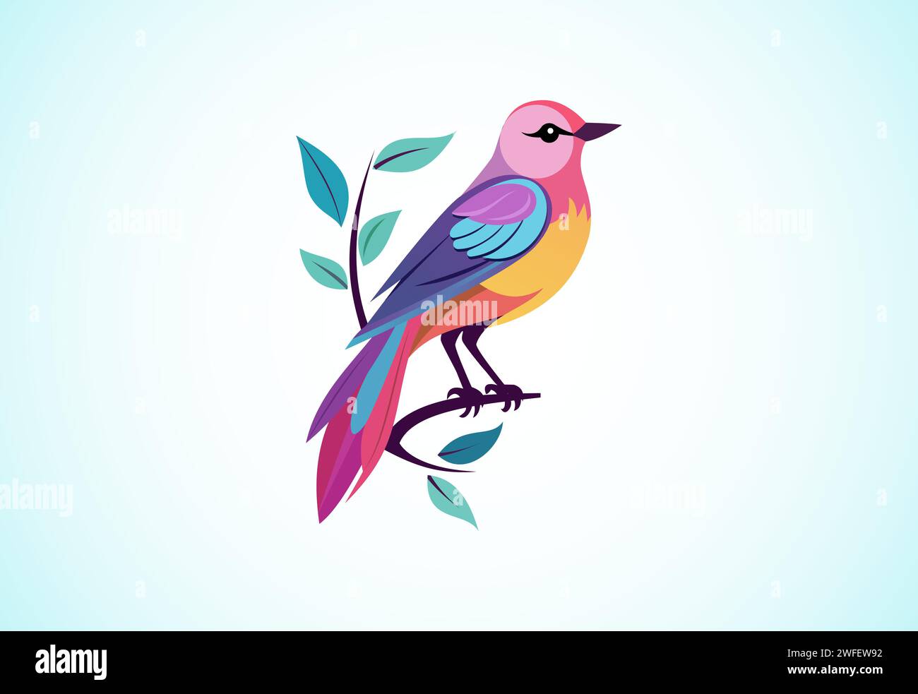 Beautiful multi colored bird. Bird logo design vector illustration ...