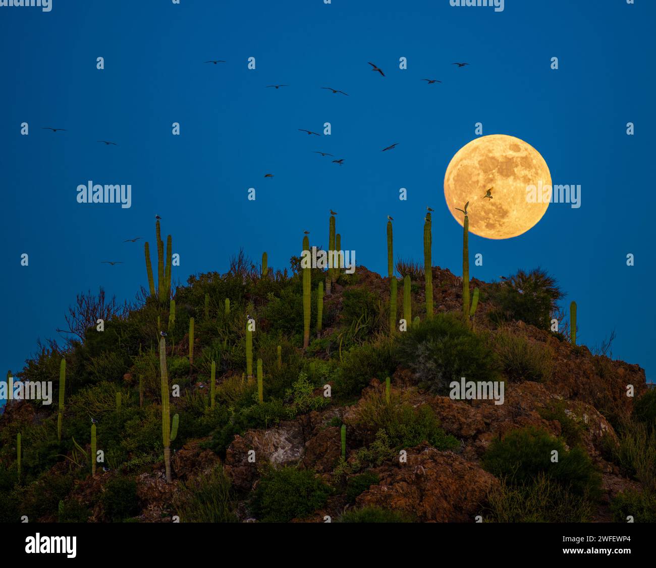Mexico landscape full moon hi-res stock photography and images - Alamy