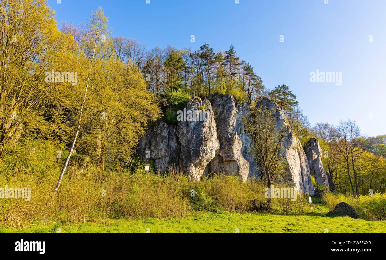 Labajowa and Lipna Sciana limestone rock and climbing wall in Bedkowska ...