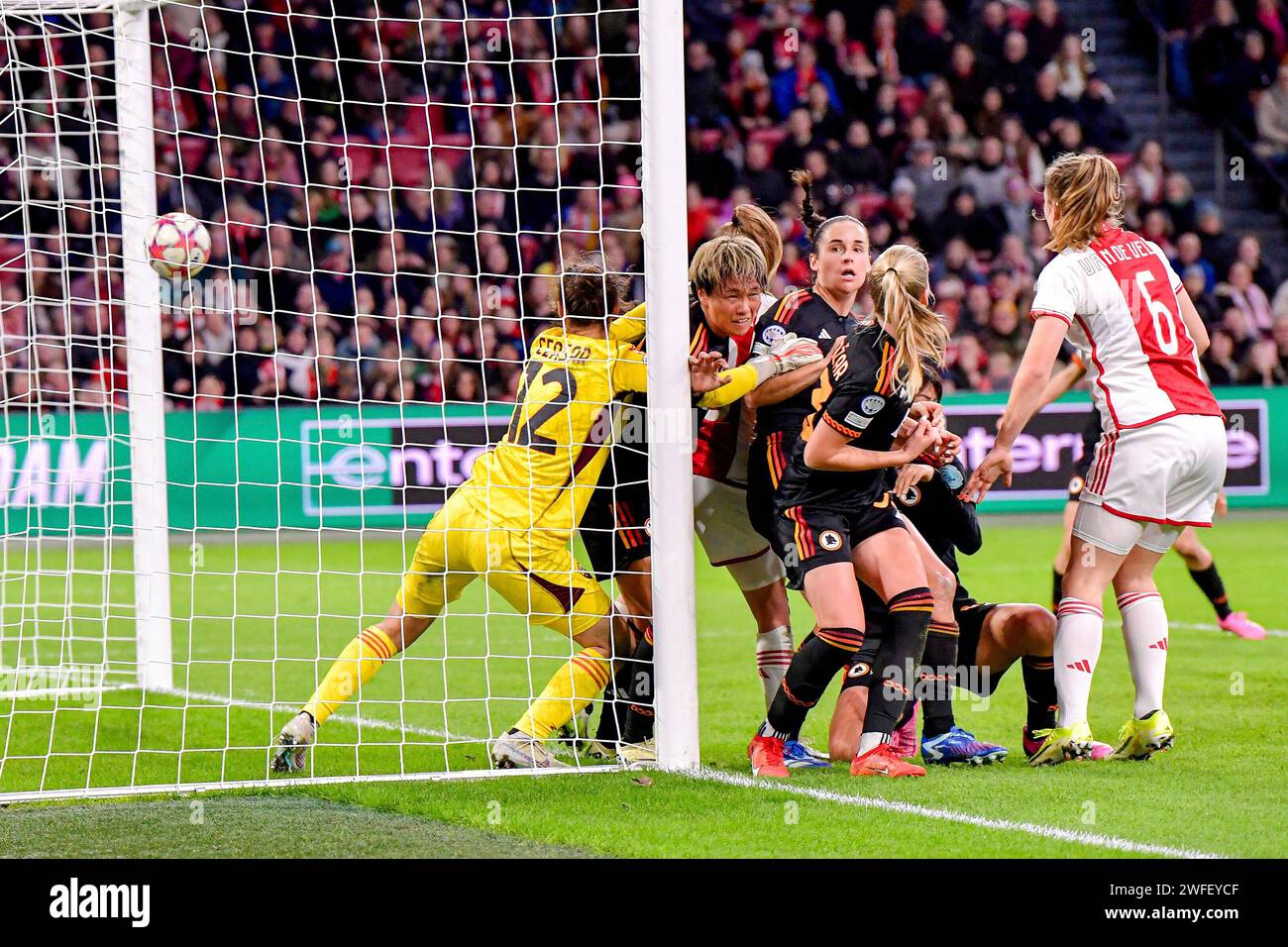 Camelia caesar hi-res stock photography and images - Alamy