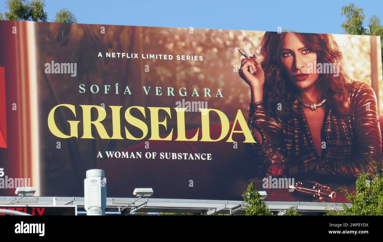 Griselda netflix vergara hi-res stock photography and images - Alamy