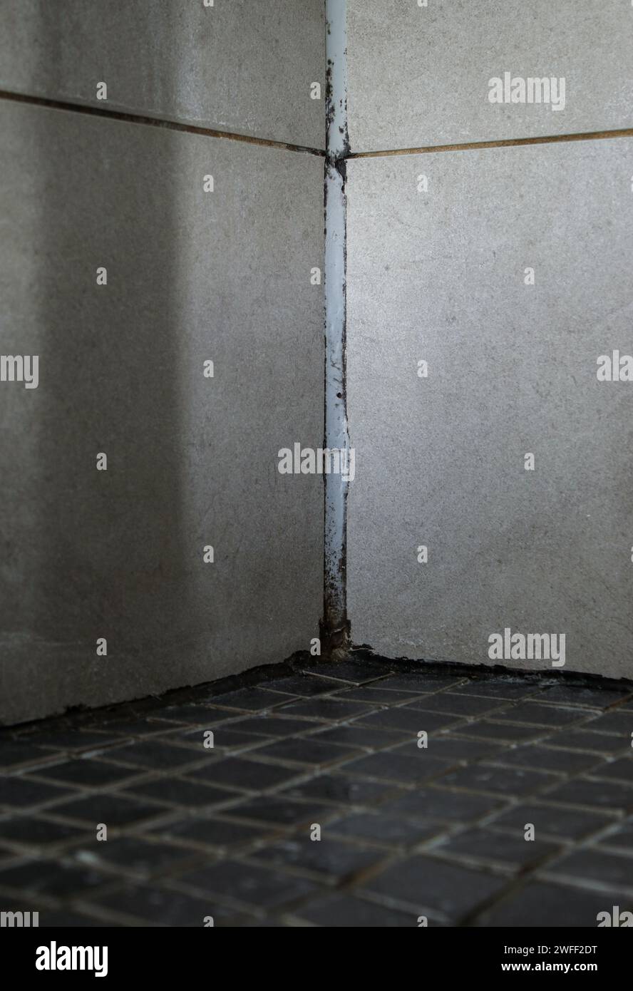 Cleaning dirty old tiles in hi-res stock photography and images - Alamy
