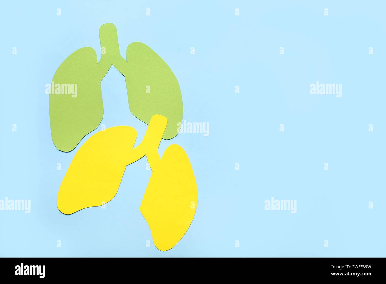 Paper lungs on blue background Stock Photo - Alamy