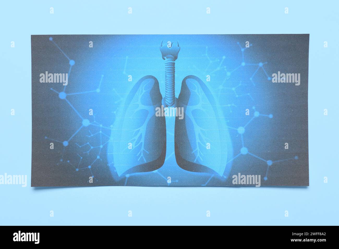 Paper lungs on blue background Stock Photo - Alamy