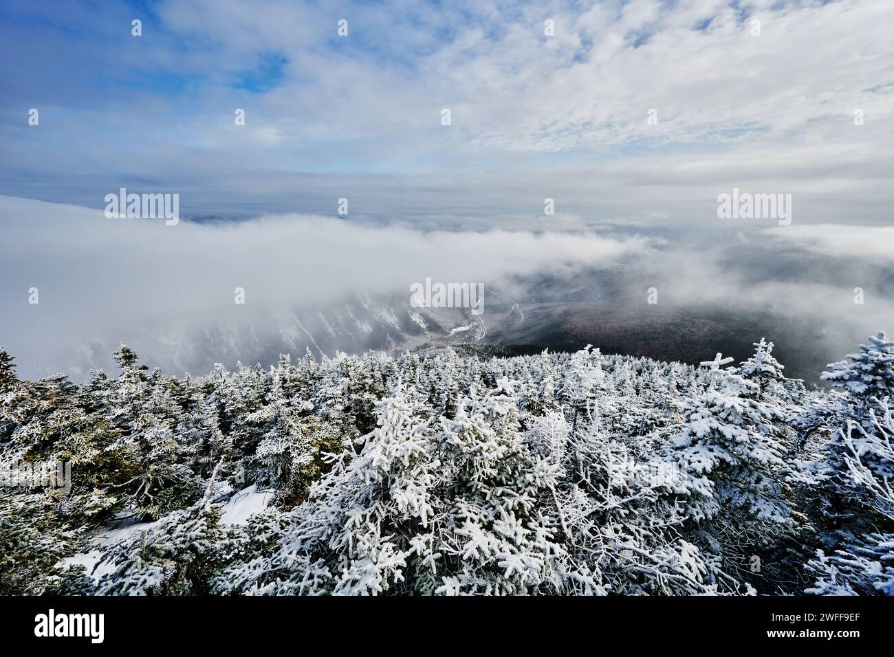 Tom view hi-res stock photography and images - Alamy