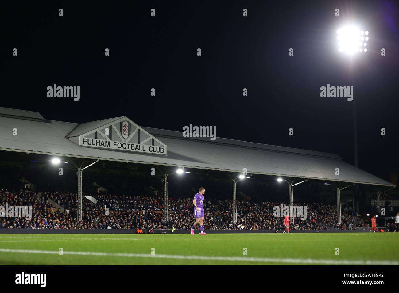 Johnny haynes stand hi-res stock photography and images - Alamy