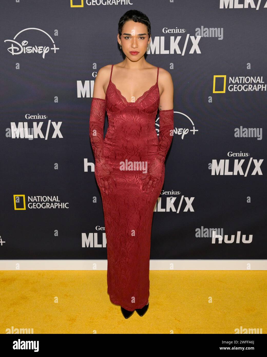 January 29, 2024, Los Angeles, California, United States: Amanda ...