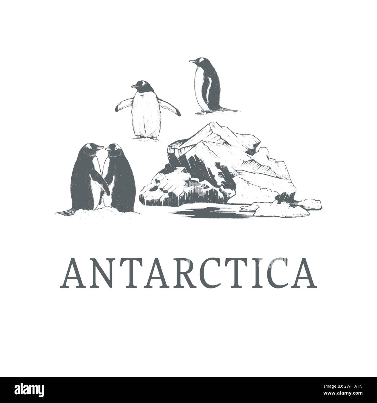 Antarctica vector illustration Stock Vector Image & Art - Alamy Antarctica vector illustration Stock Vector Image & Art - Alamy