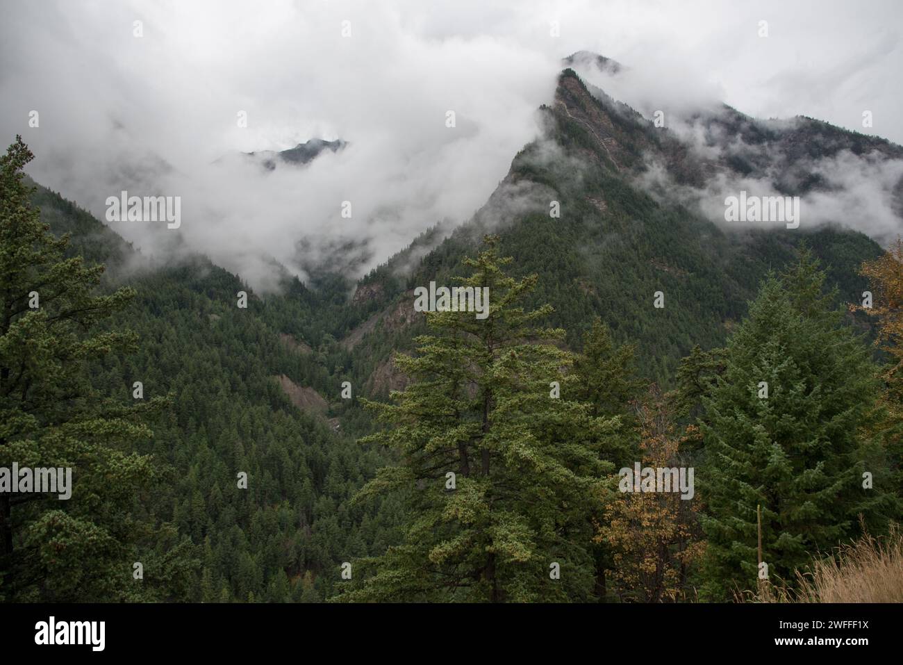 Cayosh Creek is a river in Lillooet Land District in the Pacific Ranges ...