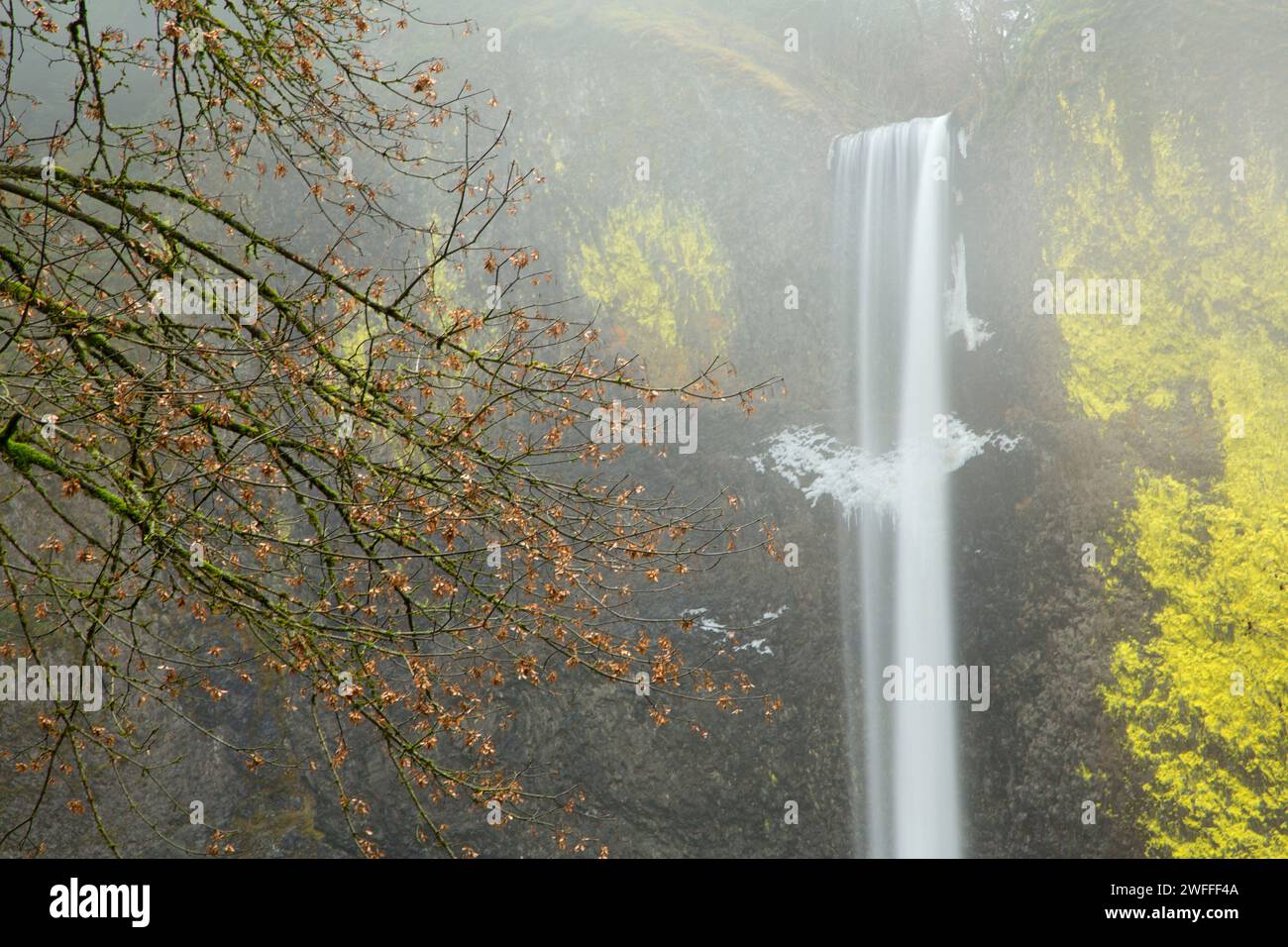 Latourelle Falls, Guy W. Talbot State Park, Columbia River Gorge ...