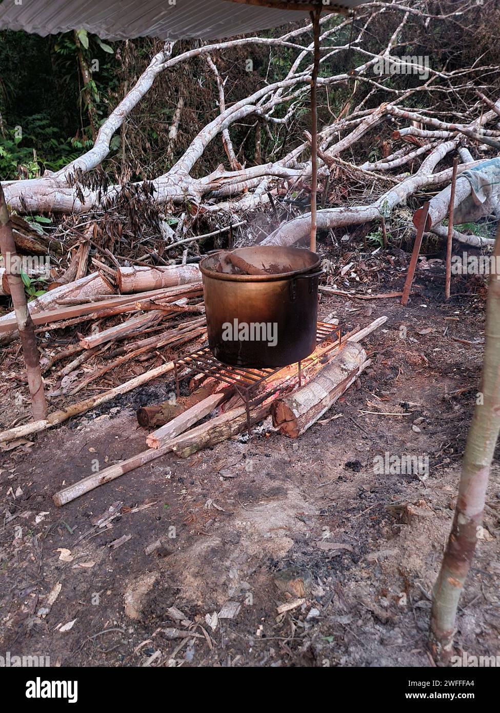 Ahayuasca in Iquitos, Peru Stock Photo - Alamy