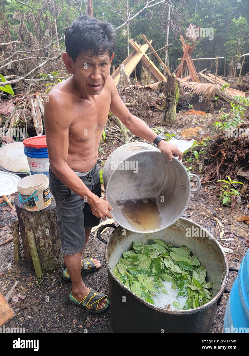Ahayuasca in Iquitos, Peru Stock Photo - Alamy
