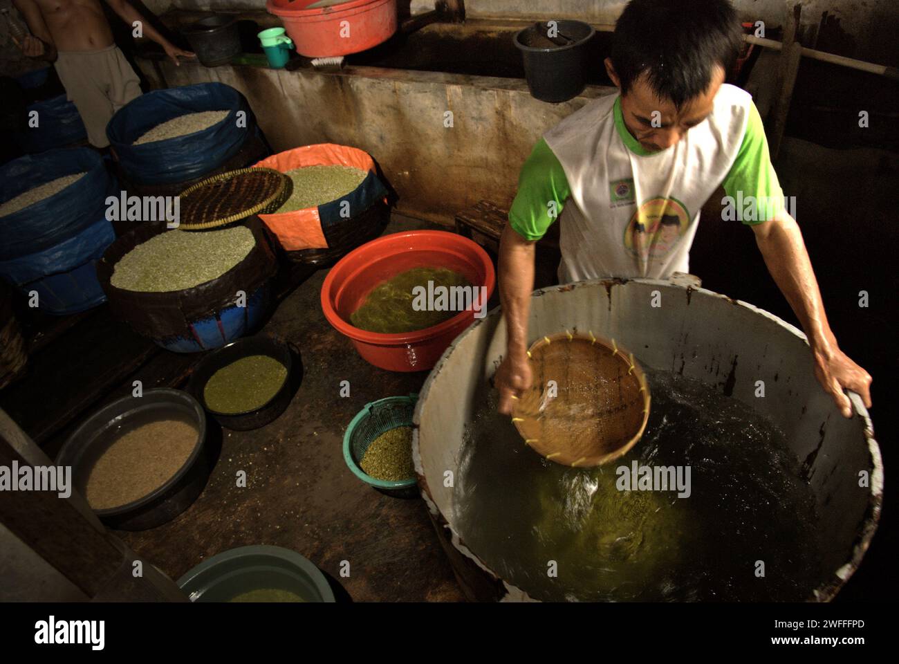 A worker stirs up freshwater in a barrel, in which mung beans (Vigna radiate) are submerged at a ...