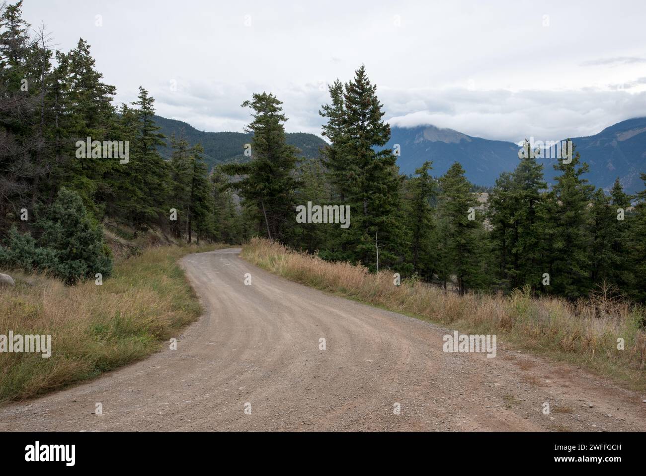 Cariboo wagon road was built to serve Cariboo Gold Rush in 1861 to ...