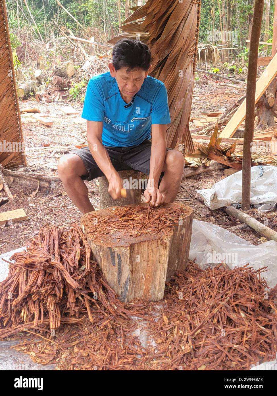 Ahayuasca in Iquitos, Peru Stock Photo - Alamy
