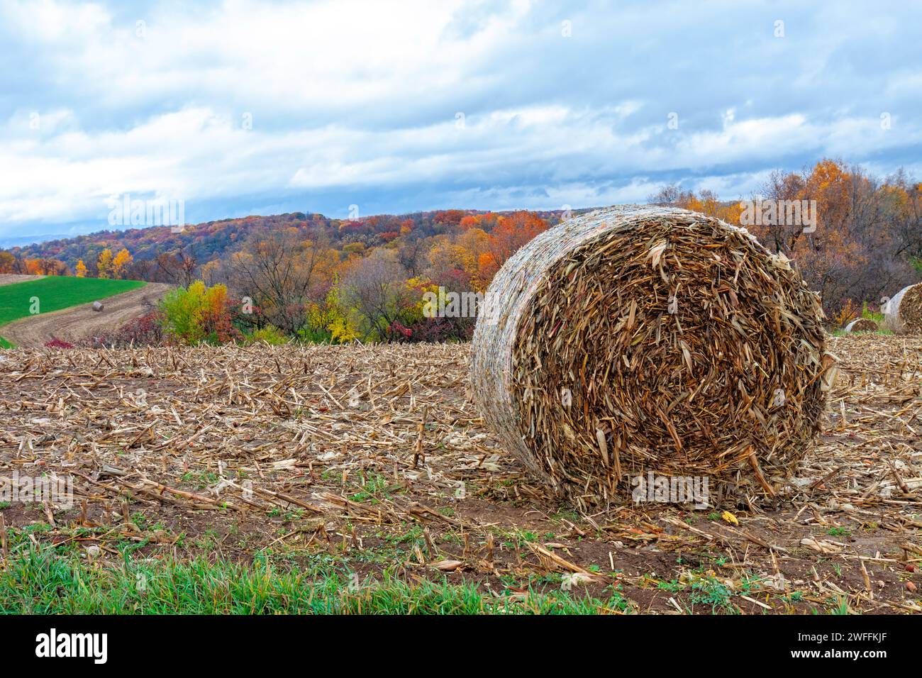On a cloudy day, a single hay bale sits on top of a hilly field. Autumn ...