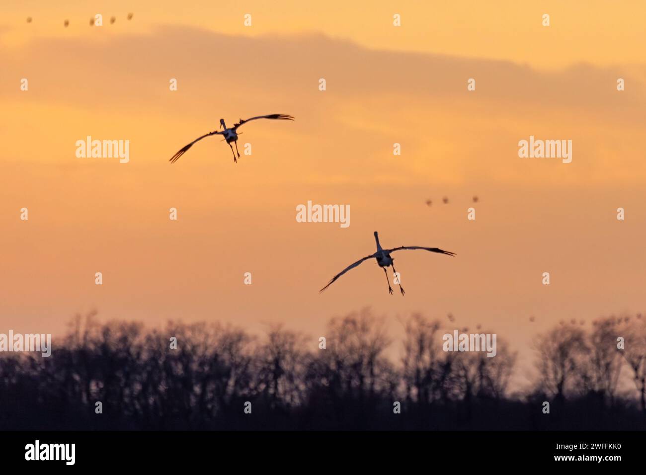 Pulaski silhouette hi-res stock photography and images - Alamy