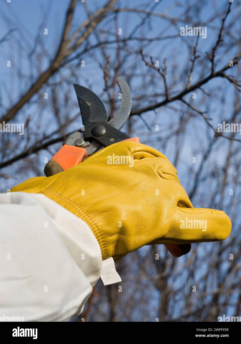 Protective object hi-res stock photography and images - Alamy
