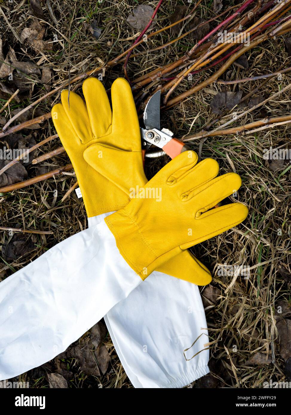 Protective object hi-res stock photography and images - Alamy