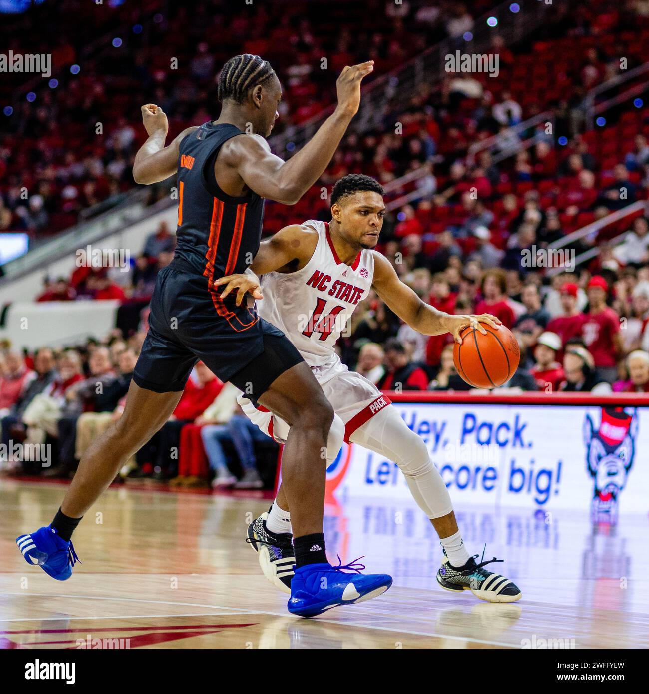 Raleigh, NC, USA. 30th Jan, 2024. NC State Wolfpack guard Casey Morsell ...