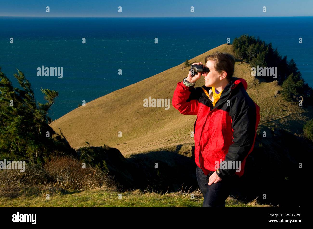 Birding from Cascade Head Trail, Cascade Head Preserve, Oregon Stock ...
