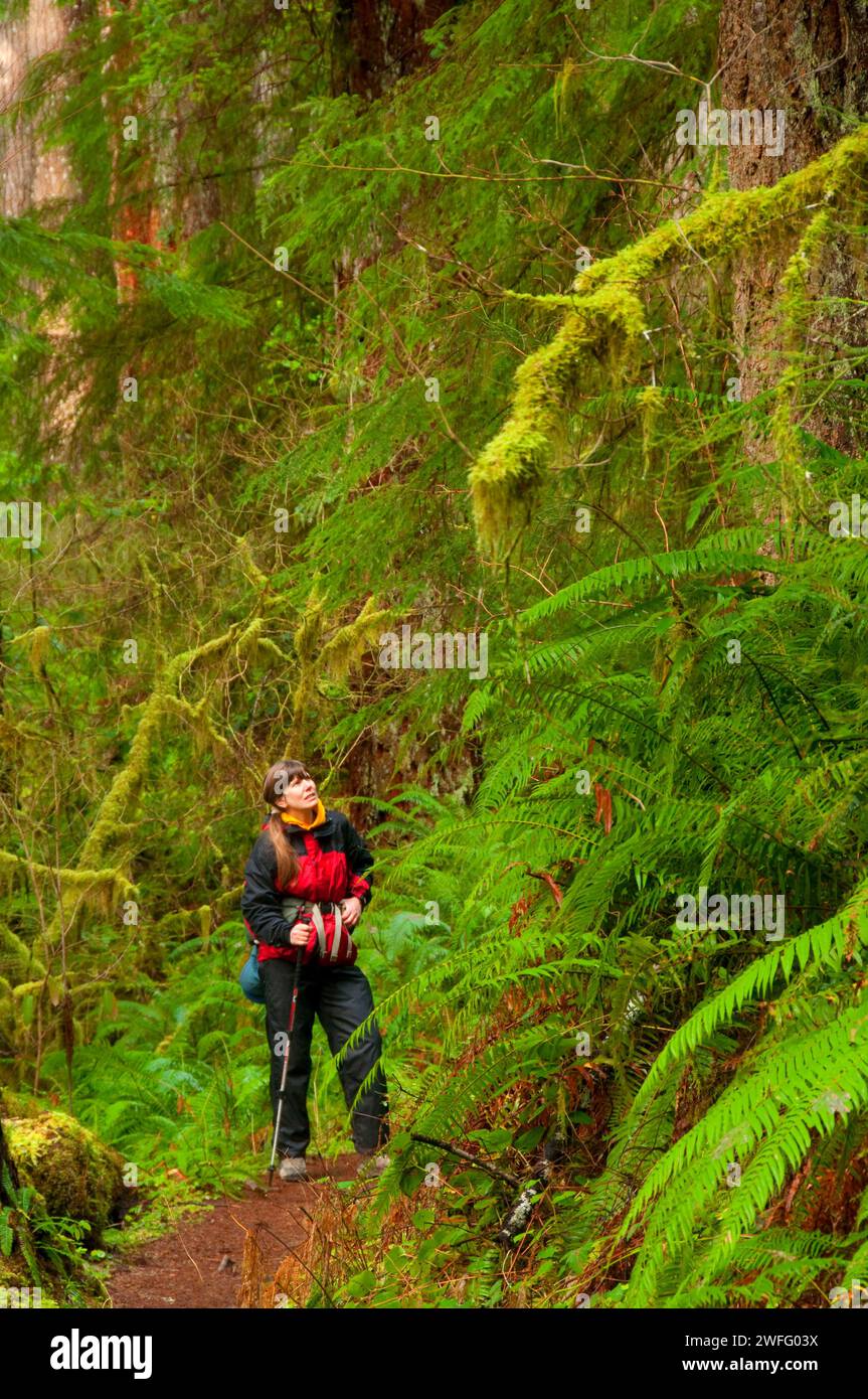 Kentucky Falls Trail, Kentucky Falls Special Interest Area, Siuslaw ...
